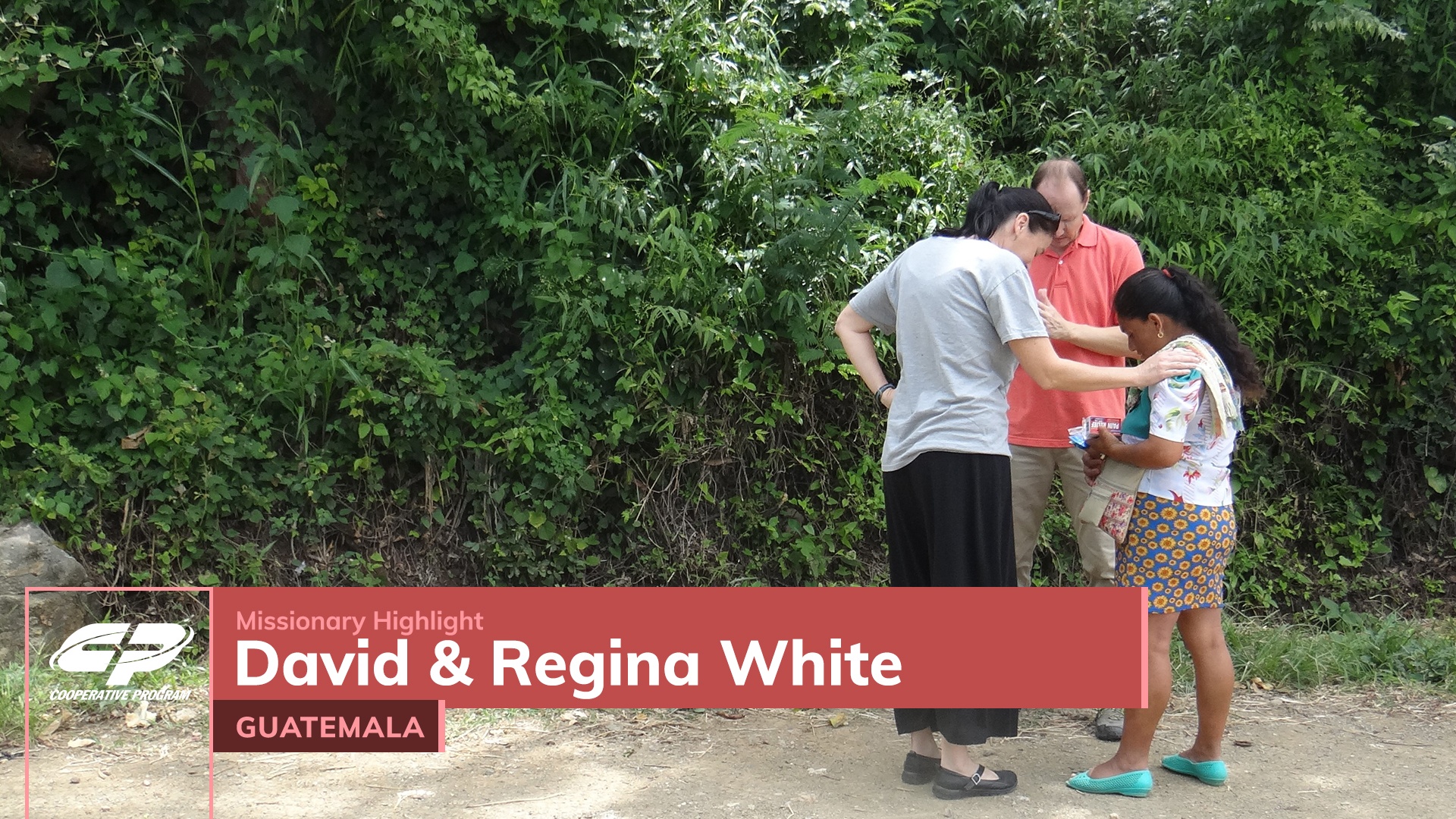 David & Regina White - SBC.net